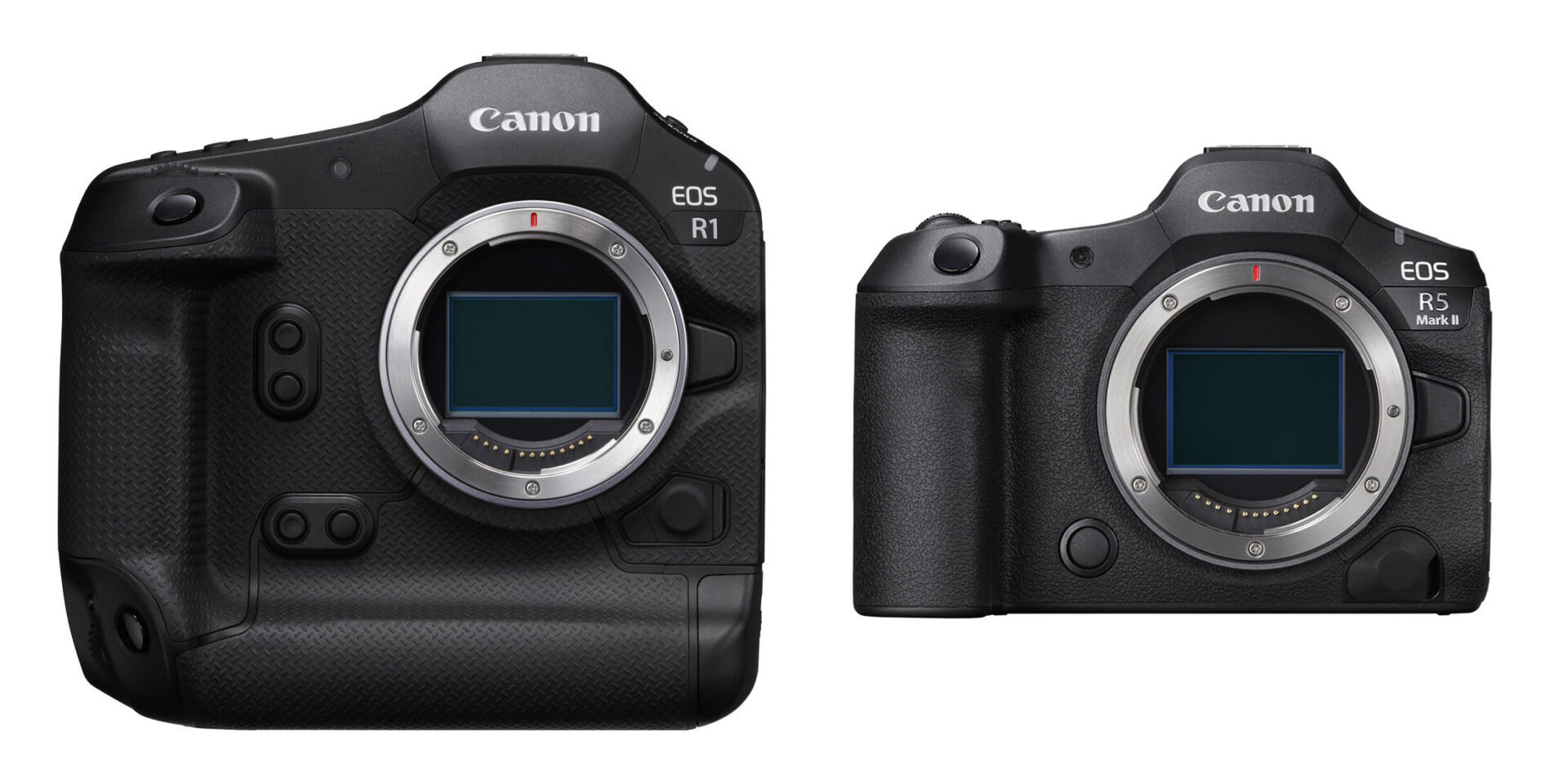 Canon Launches the EOS R1 and EOS R5 II – AIPA